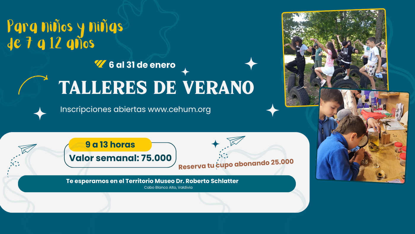 Talleres de Verano 2025: ¡Ya abrimos inscripciones! - CEHUM